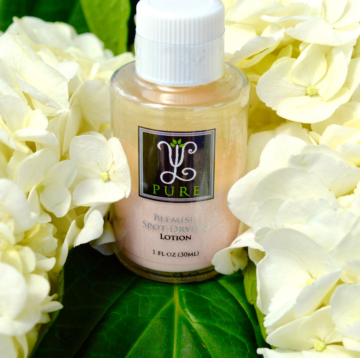 Blemish Spot Drying Lotion – VL Pure Skincare